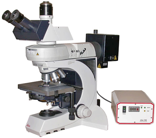 Leica DMLB Fluorescence Phase and Polarized Light Microscope – Spach ...